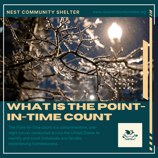 Understanding the Importance and Challenges of The National Point-In ...