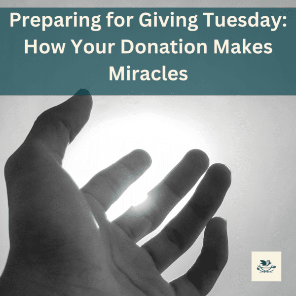 Preparing for Giving Tuesday: How Your Donation Makes Miracles - Blog - Nest Community Shelter